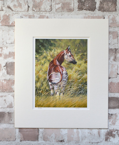 Velvet Stripes Okapi Print | Frances Sullivan Art