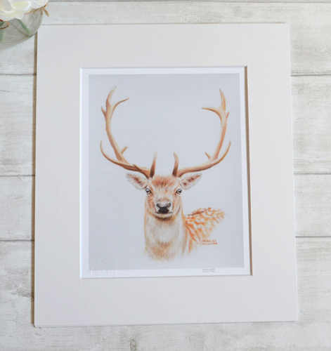 Fallow Deer Stag Print | Frances Sullivan Art