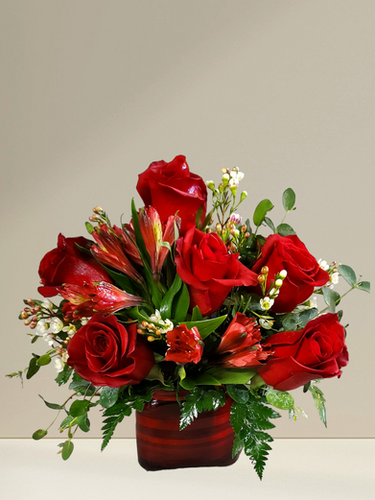 Deluxe Half Dozen Roses | Bravo Floral & Gifts