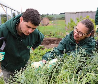What We Do | Living Potential Care Farm