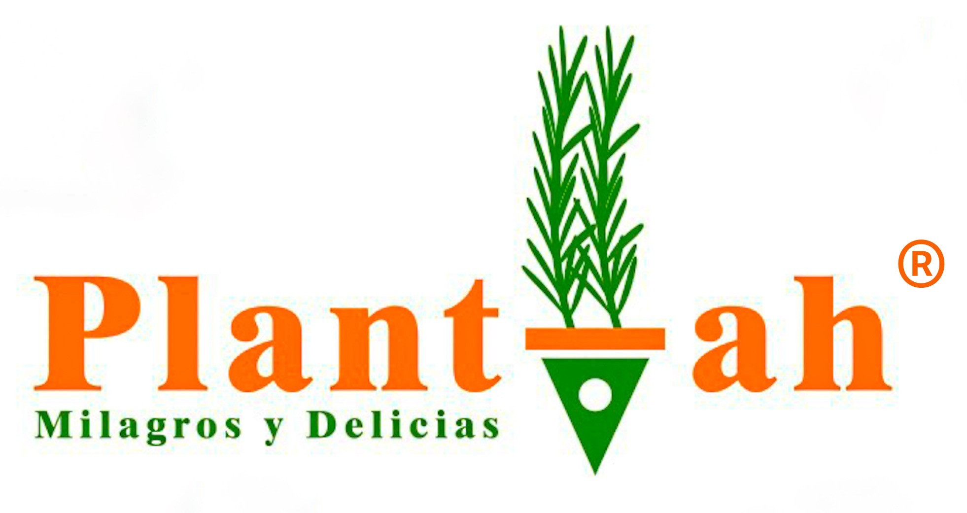 Inicio | Plant-ah