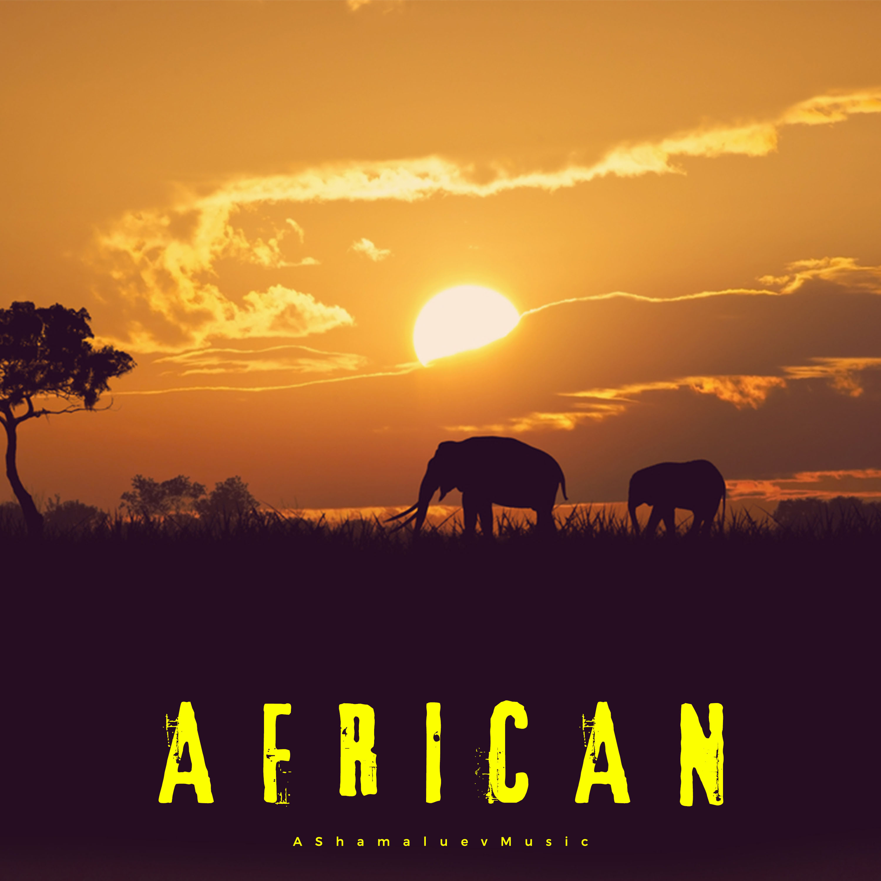 African Instrumental Music | Free Download MP3 - AShamaluevMusic