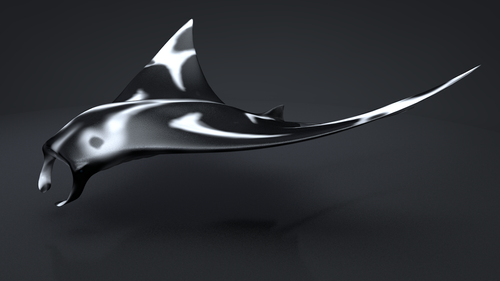 Manta Ray 3D Model C4D Rigged | rohr3dsolutions