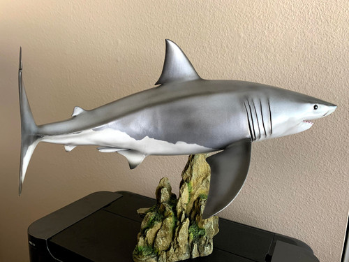 Great White Shark Desktop Model | rohr3dsolutions