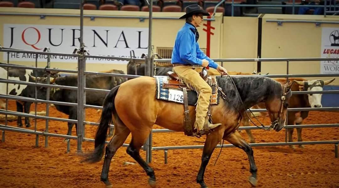 About Craig | world champion reining and ranch riding