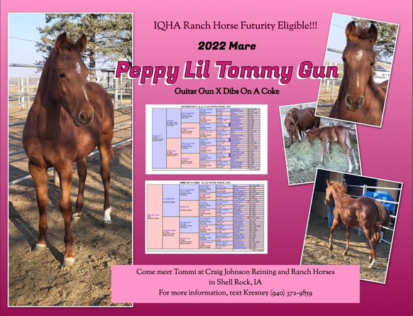 Horses for sale | reining & ranch riding