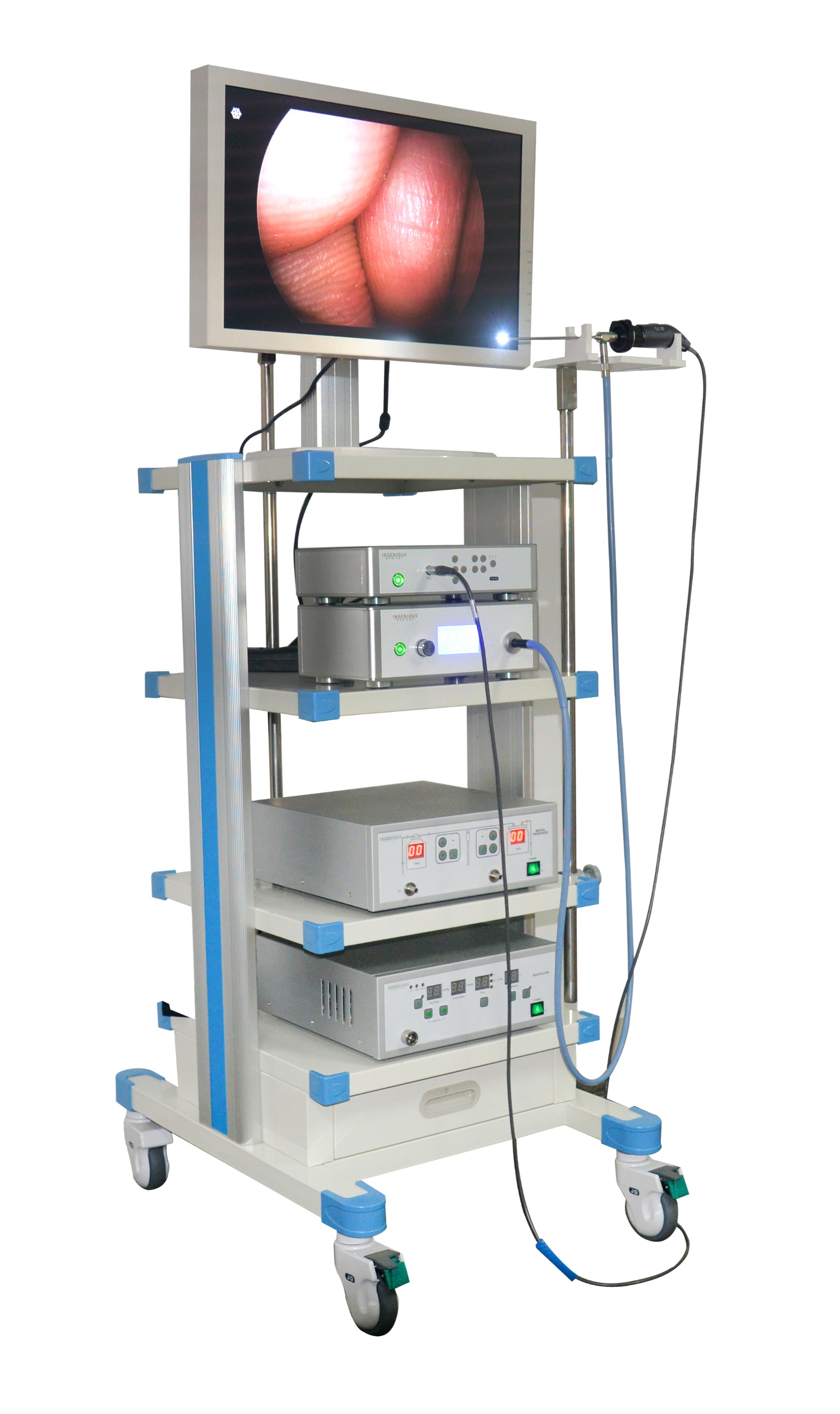 Veterinary Endoscopy, rigid endoscopy, laparoscopy