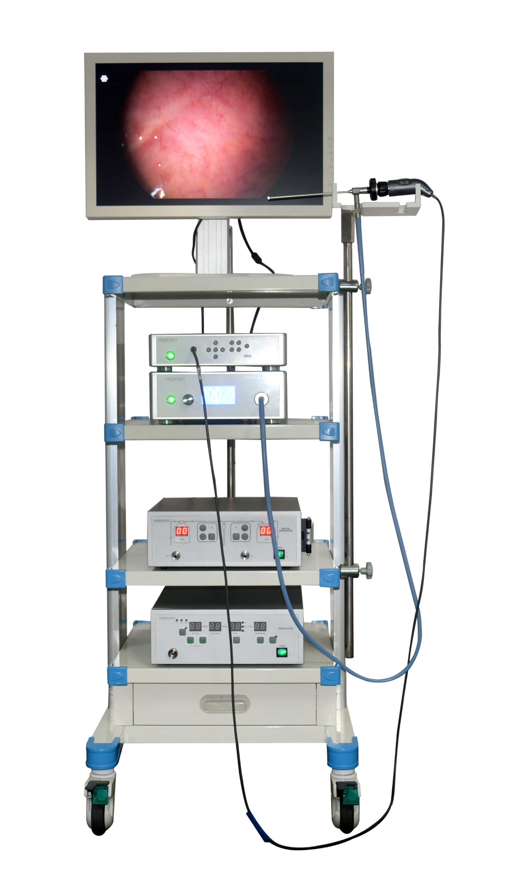 Veterinary Endoscopy, rigid endoscopy, laparoscopy