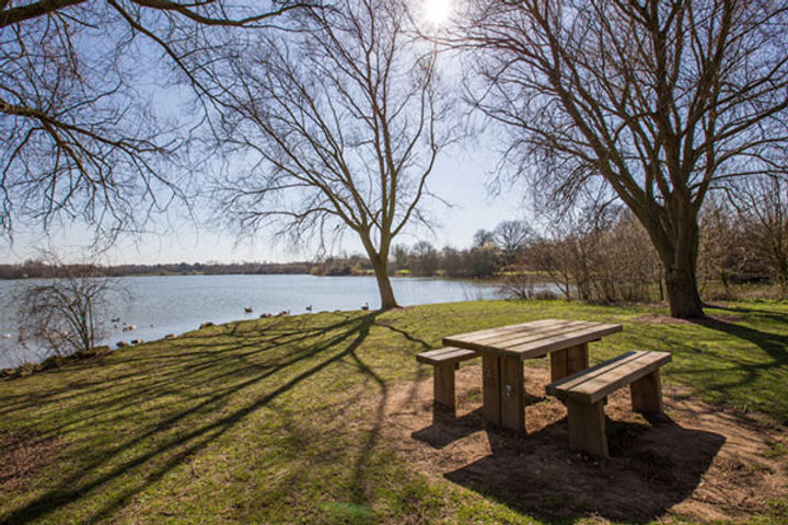 FRESH 10 YEAR PLANS FOR THE FUTURE OF NENE PARK