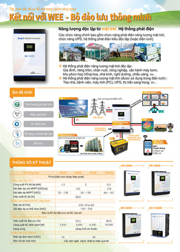 Wee Energy WM-1000 | DY Rainbow Health G