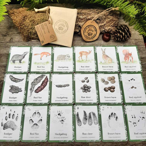 Woodland Animal Tracks & Signs Cards | Hiddel Brock Wood