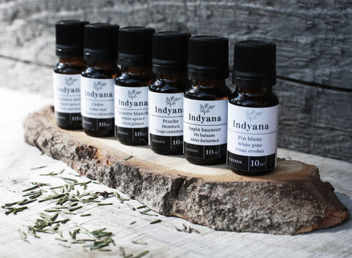KIT DE CONIFÈRES | Indyana