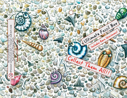 Ultimate Fossil Box ( contains original fossils)
