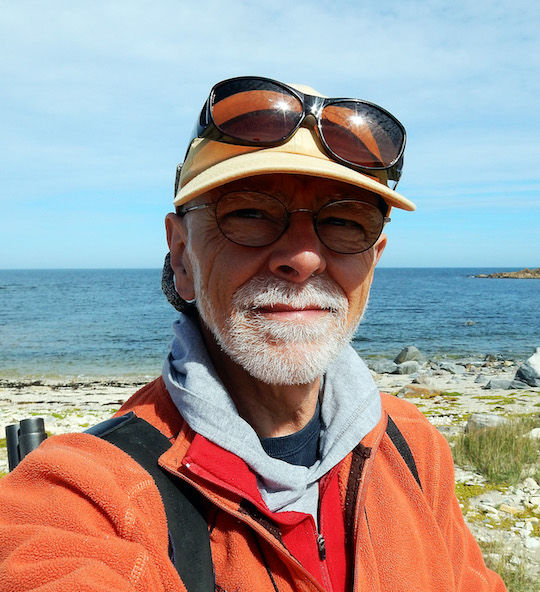 Interview of the month: DAVID RUDKIN from ROM CANADA