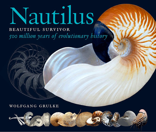 Nautilus: Beautiful Survivor: 500 Million Years of Evolutionary History ...