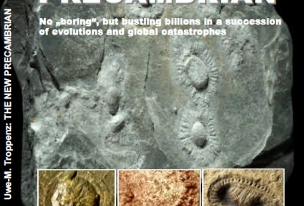 The New Precambrian | trilobiti.com