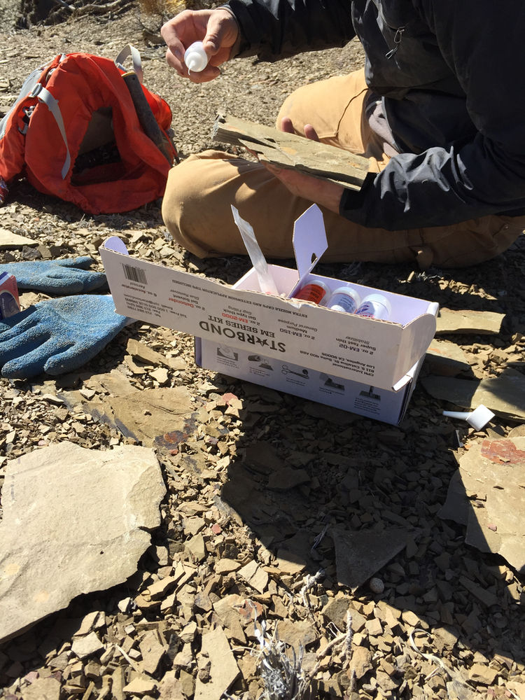 Fossil-preparation basics: what adhesives are best to use?