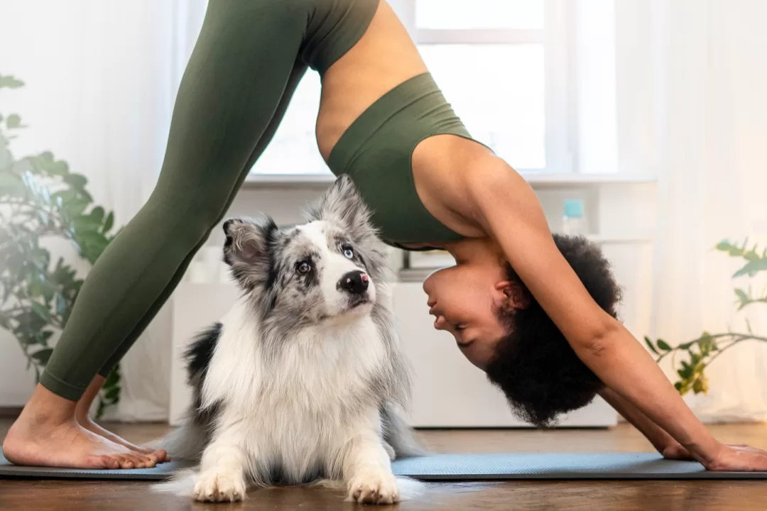 Accueil | Puppy Yoga Toulouse