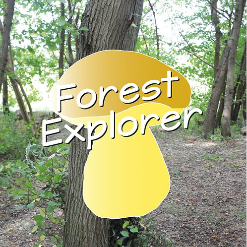 Forest Explorer | inspiringoutdoors