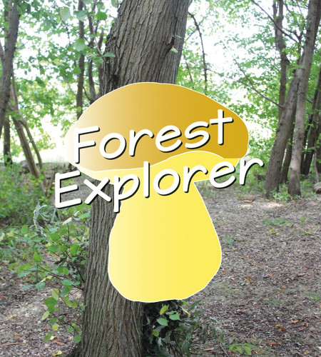 Forest Explorer | inspiringoutdoors