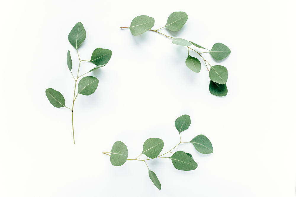 The Three Stage Model for Trauma Recovery