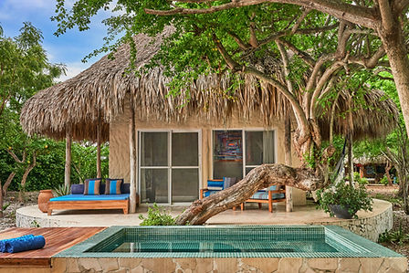 TOWNHOUSE BEACH CLUB | Blue Apple Beach