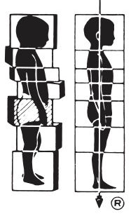 5 easy changes to stand up straight.