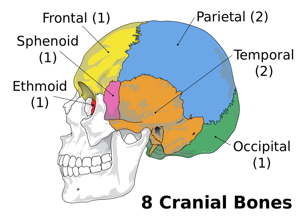 What Is TMJ Pain 