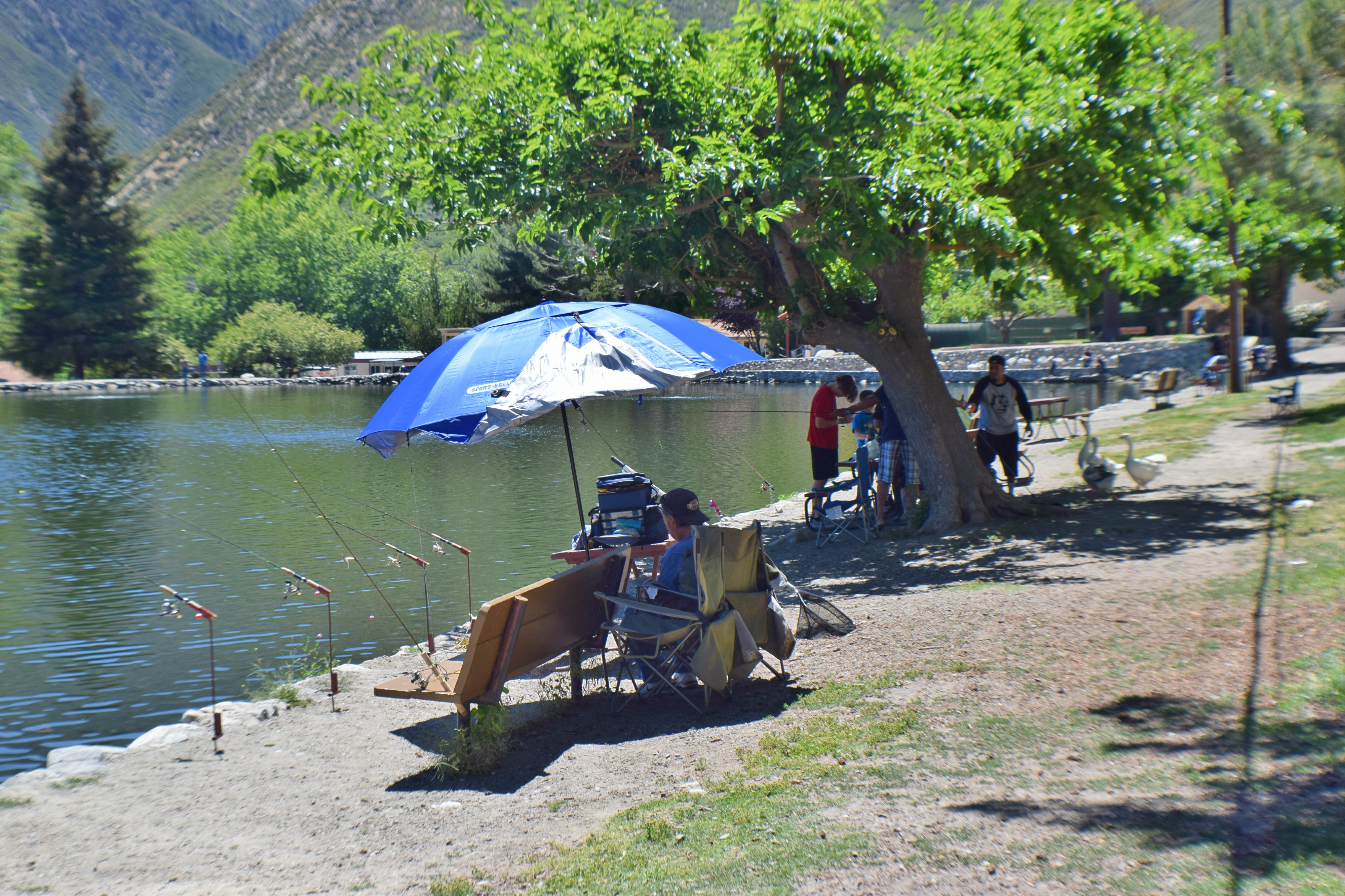 Fishing | mountainlakes