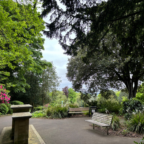 Photo Gallery - Friends of Saltwell Park - Gateshead