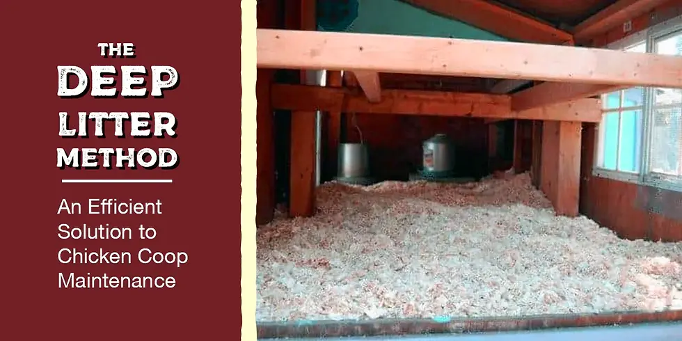 The Deep Litter Method: Benefits and Best Practices