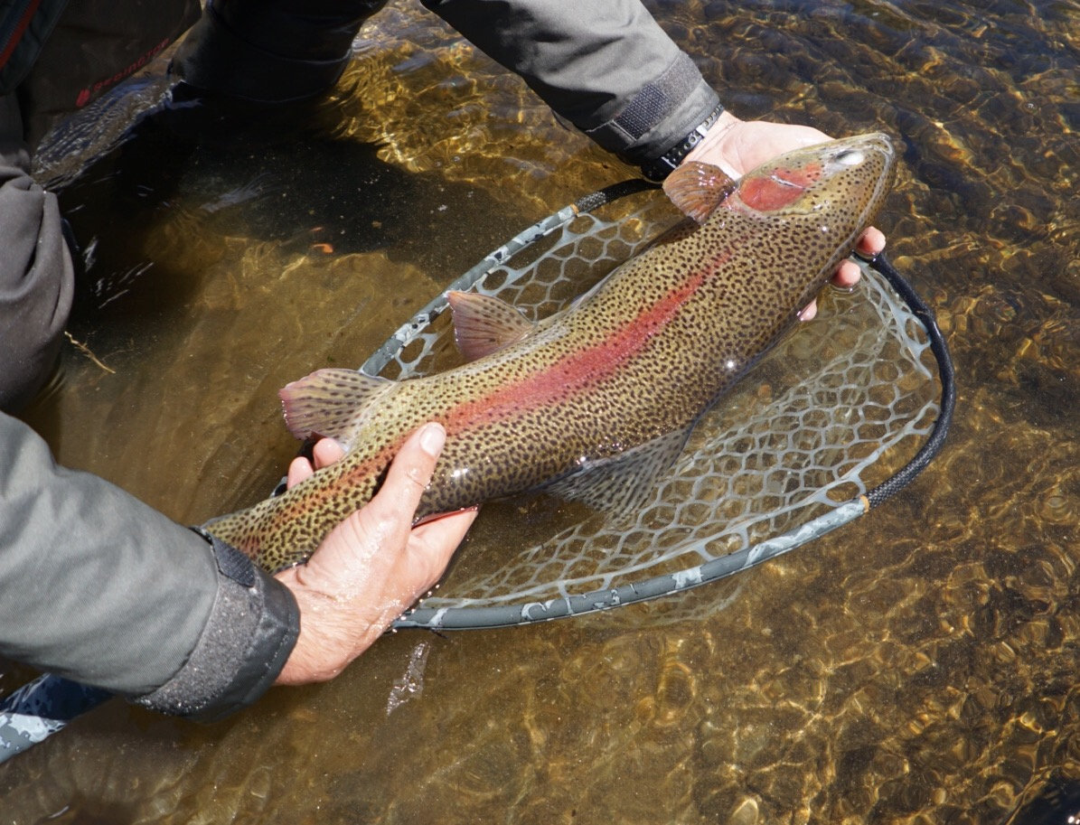 Red River| Eagle Nest Fly Shack & Lodge