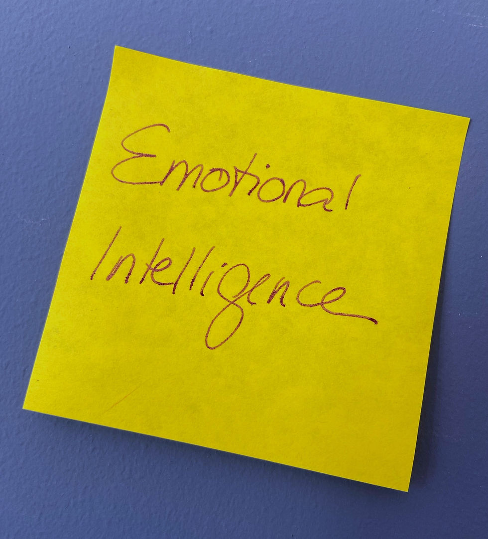 What Is Emotional Intelligence what-is-emotional-intelligence