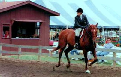 Horseback riding Barrington, IL