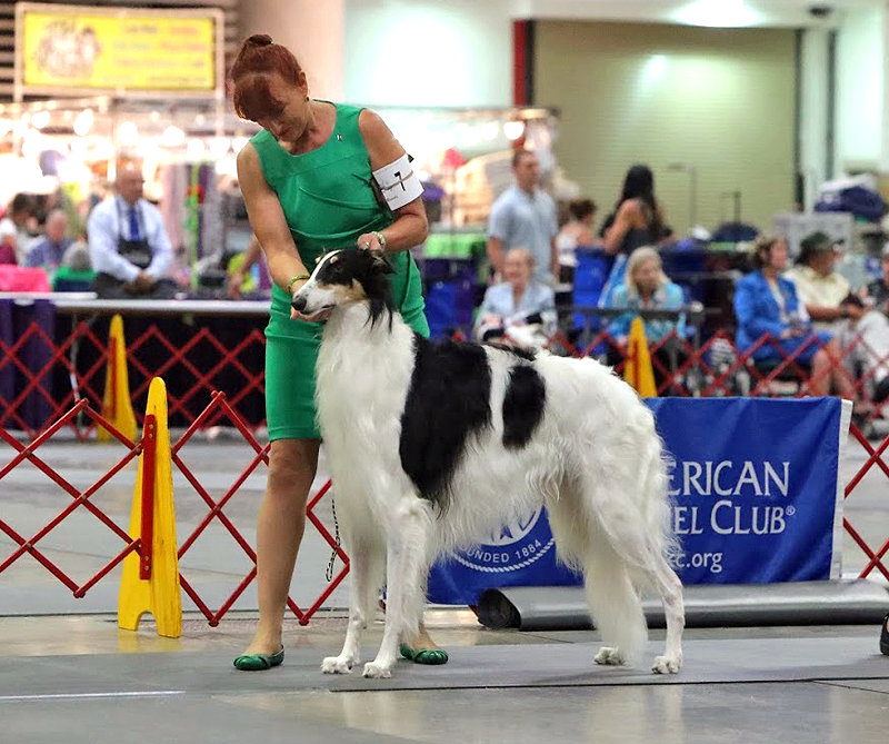 Maksi Wins 3 And 4 Point Majors!