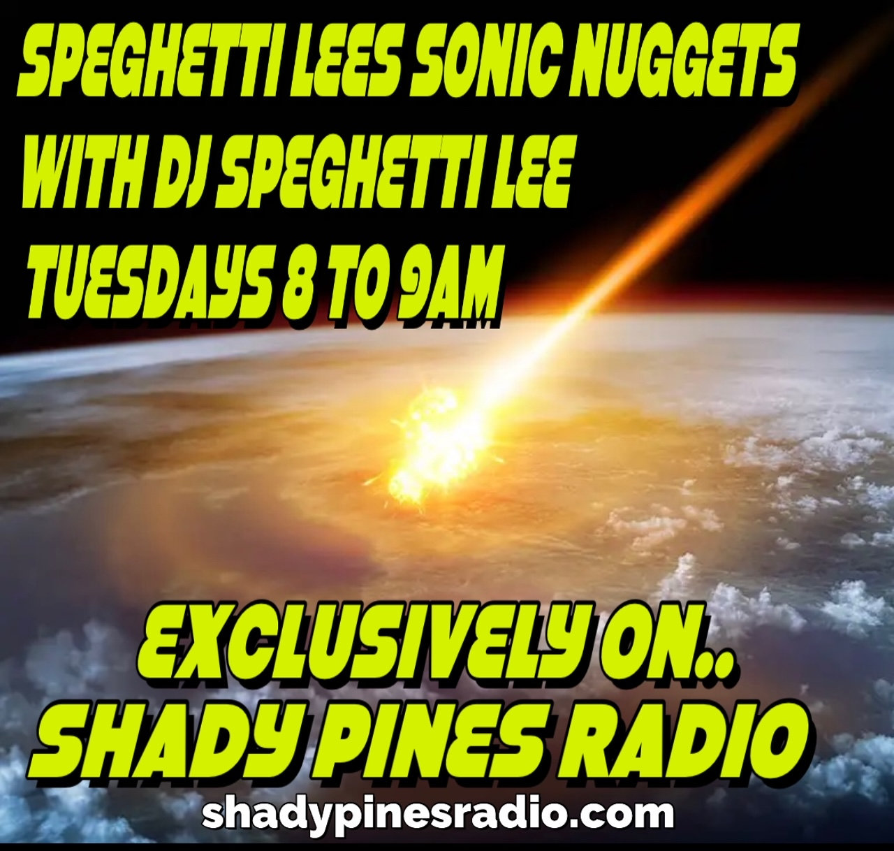 Spaghetti Lee's Sonic Nuggets