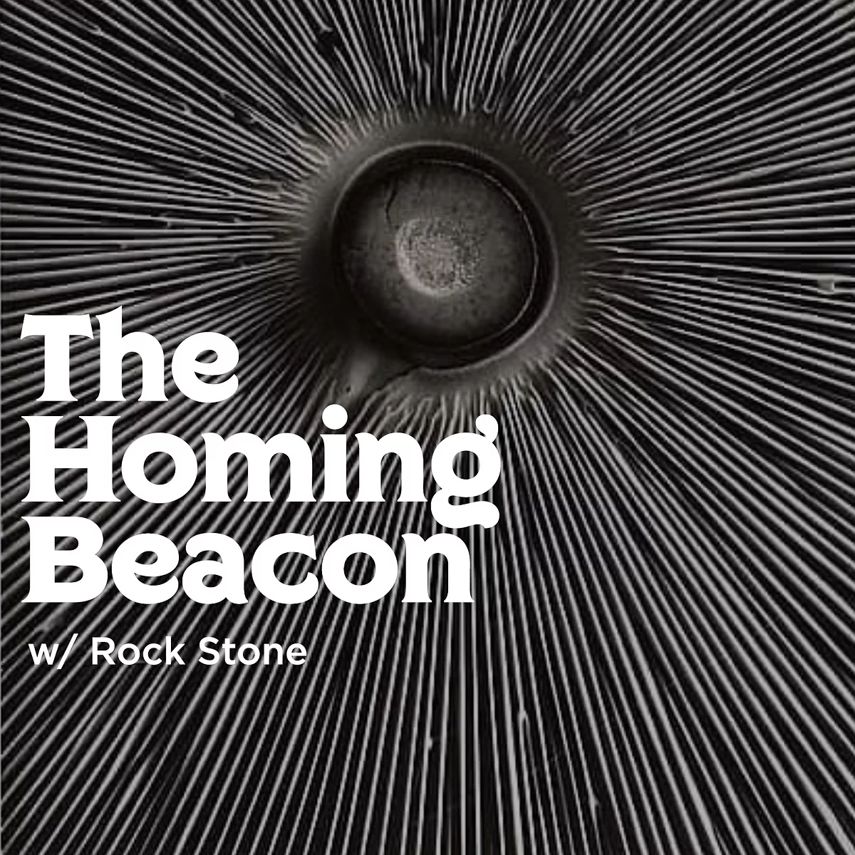 The Homing Beacon