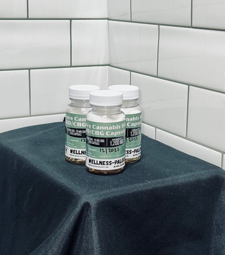 CBD/CBG Capsules | Wellness-Palooza