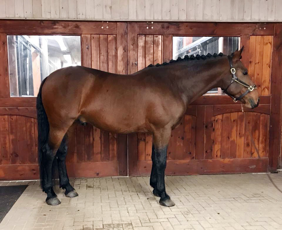 Epona's Amhran Mo Chroi