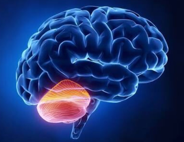 O que é a xantomatose cerebrotendinea?