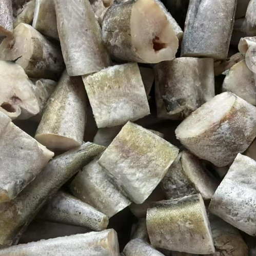Frozen Pollock Cut | 壹线渔EasySeafood