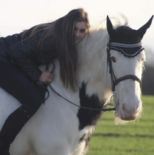Meet the Team | Kent Equine Hospital
