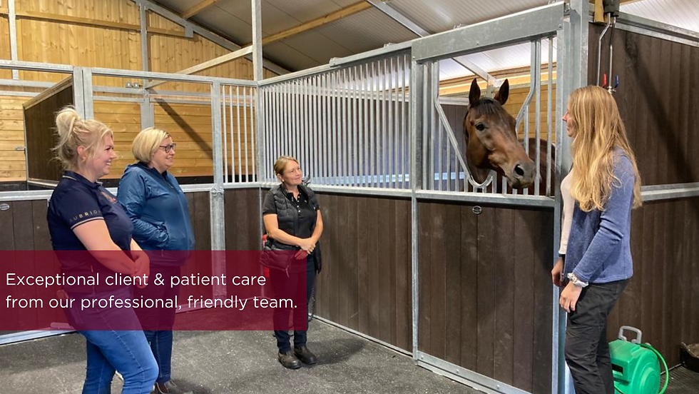 Kent Equine Hospital | Independent Equine Veterinary Hospital | Hucking