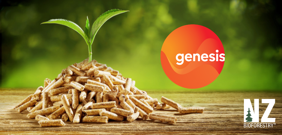 Genesis & NZ Bio Forestry to explore potential of biofuels