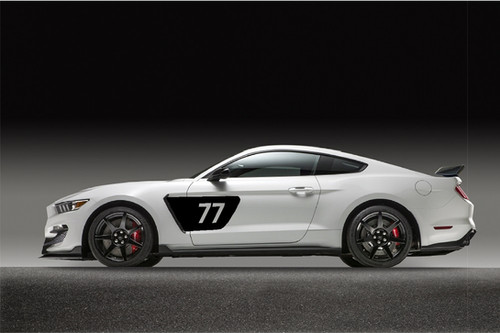 GT350/R "FP350S" Style Track Numbers | Qspek Vinyl LLC