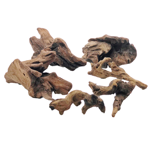 Decorative Drift Wood | atillyaday