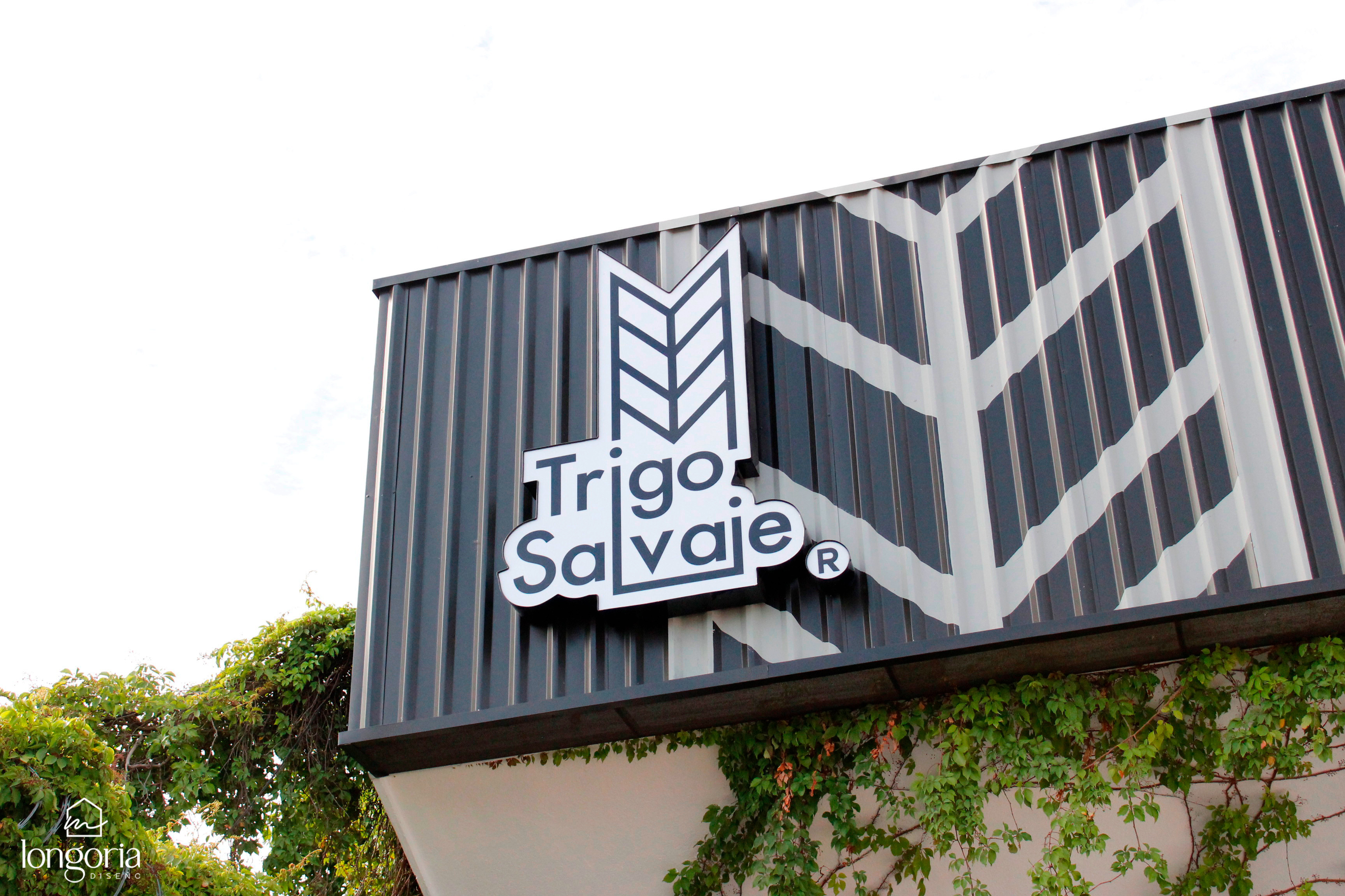 Trigo Salvaje