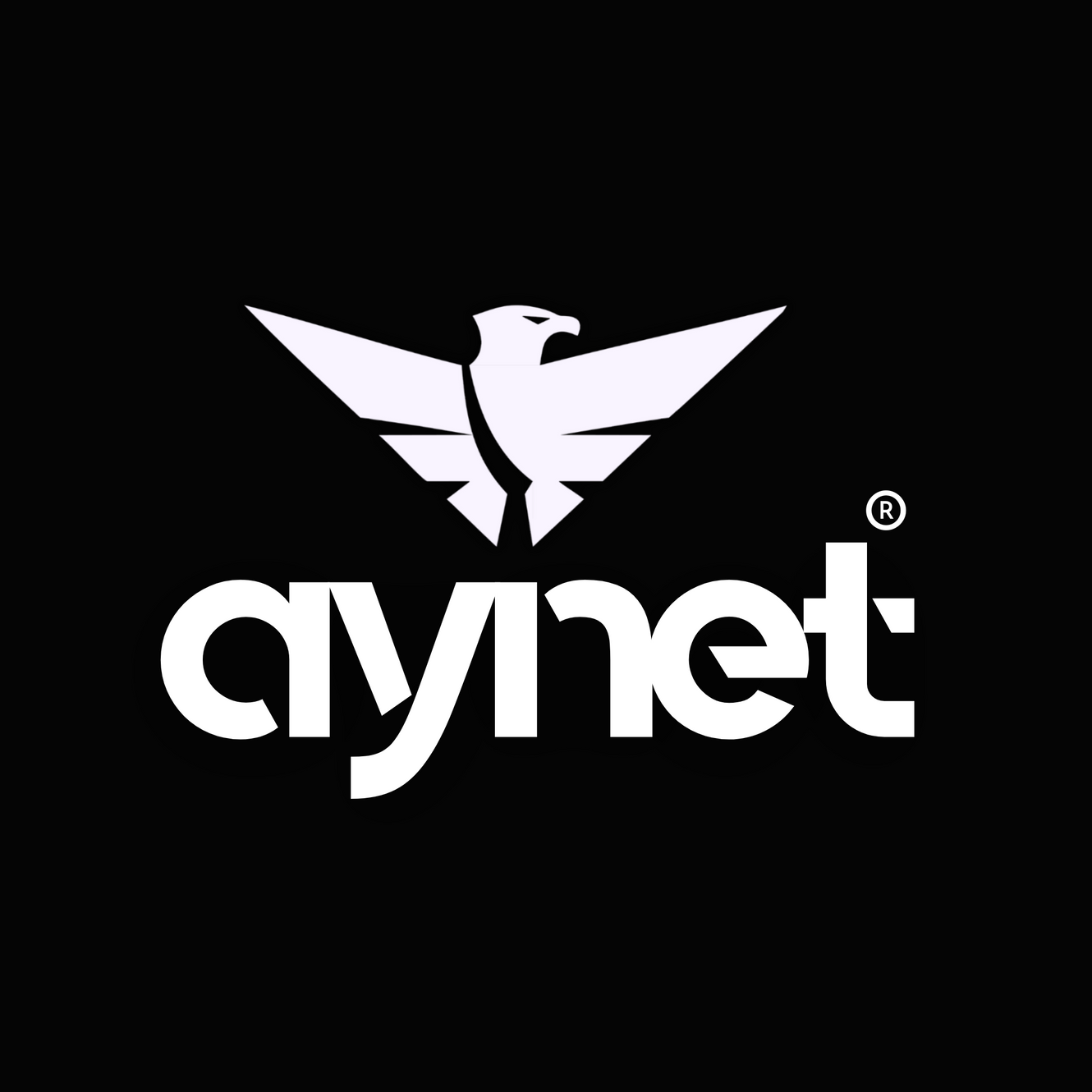 Aynet Digital Solutions - Al Consultants - Al Fintech - Al Software ...
