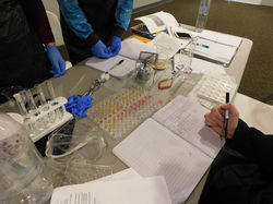 Summer Lab Intensives