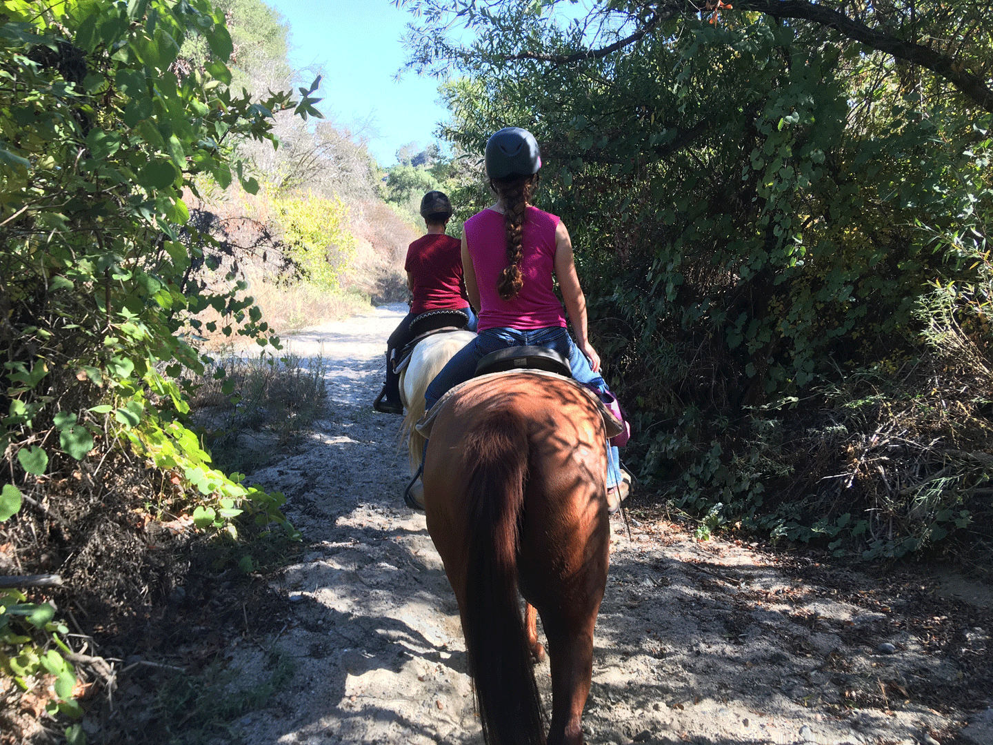 Scenic Trails | SusieQ Ranch